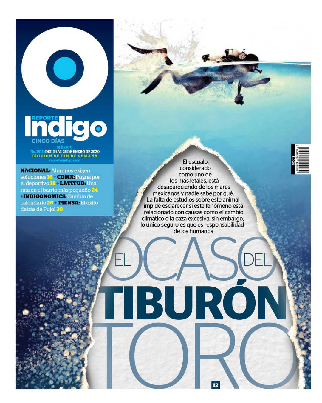 indigo-shark – Covers in a dangerous time